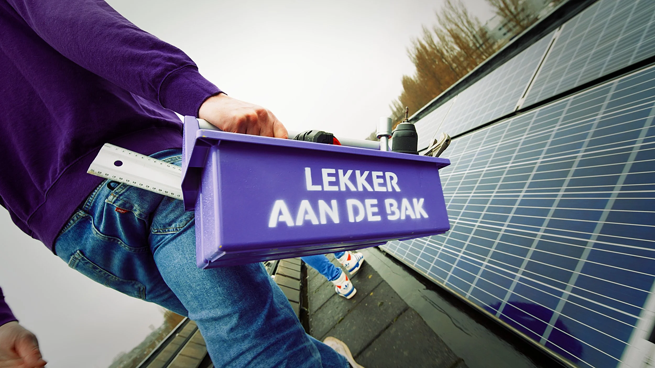 Standpunten • Volt Nederland