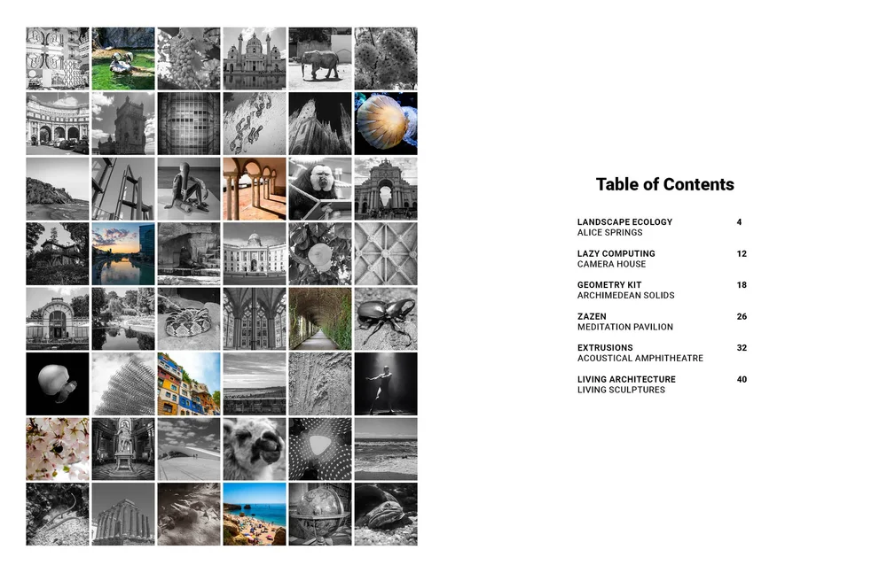 Portfolio Example 12 — Visualization to Design-Build — Architecture Next