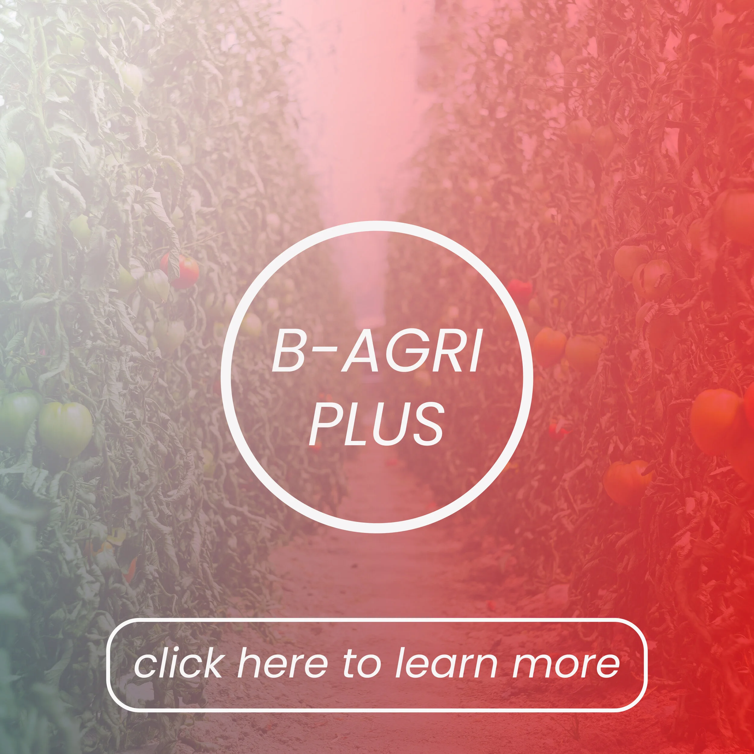Agri — BlackBox7
