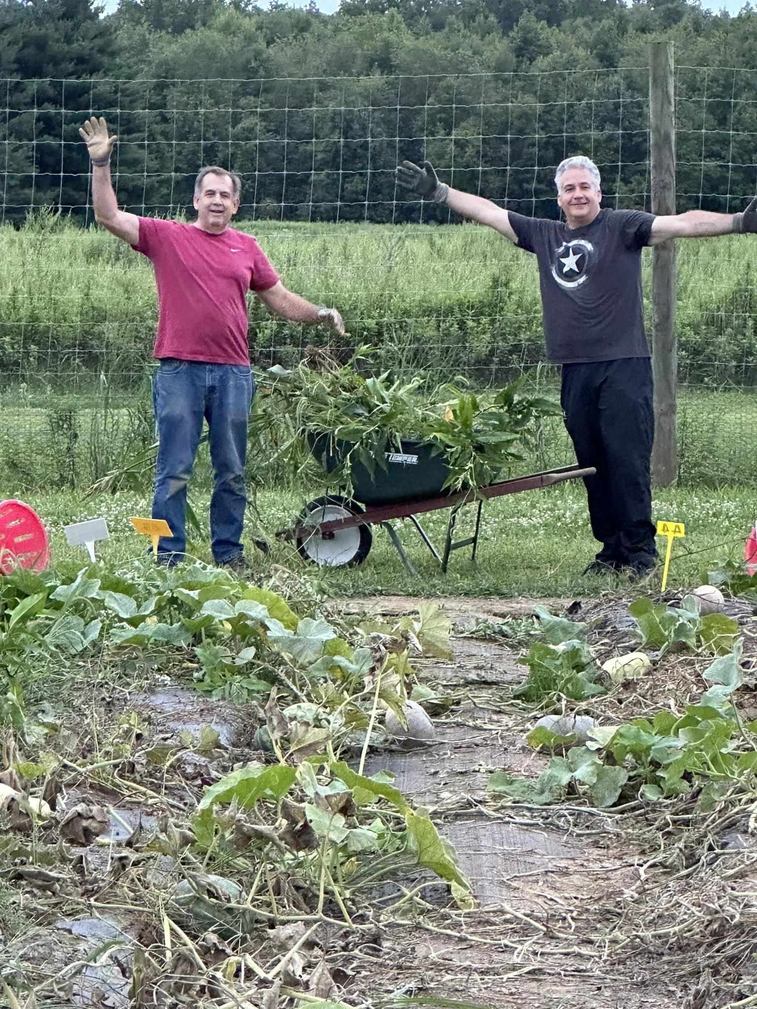 Best Fall Gardening Practices in New Jersey — Rows for the Hungry