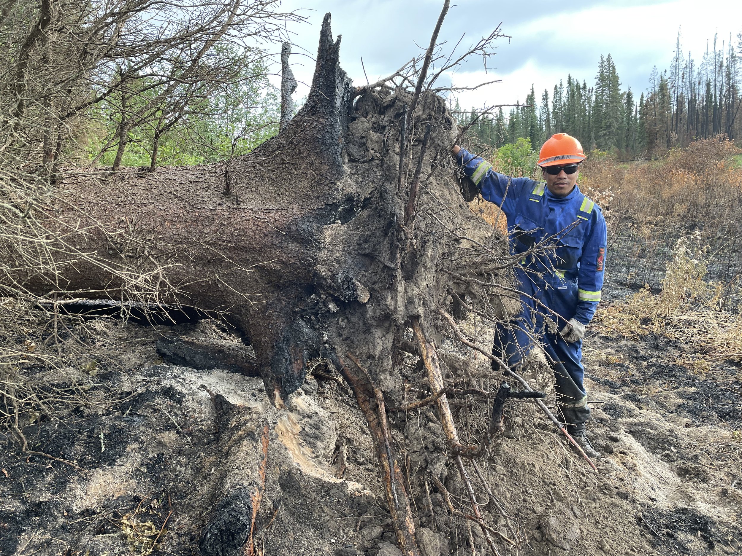 Fire Stewardship — Indigenous Leadership Initiative