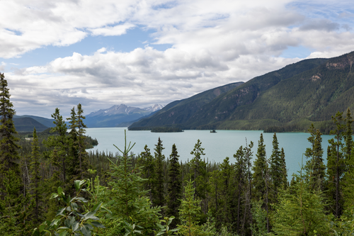 Indigenous Protected and Conserved Areas — Indigenous Leadership Initiative