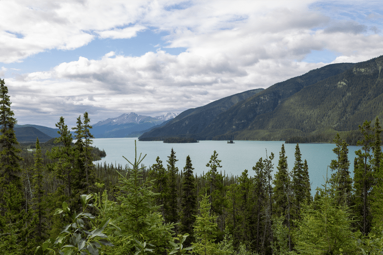 Indigenous Protected and Conserved Areas — Indigenous Leadership Initiative