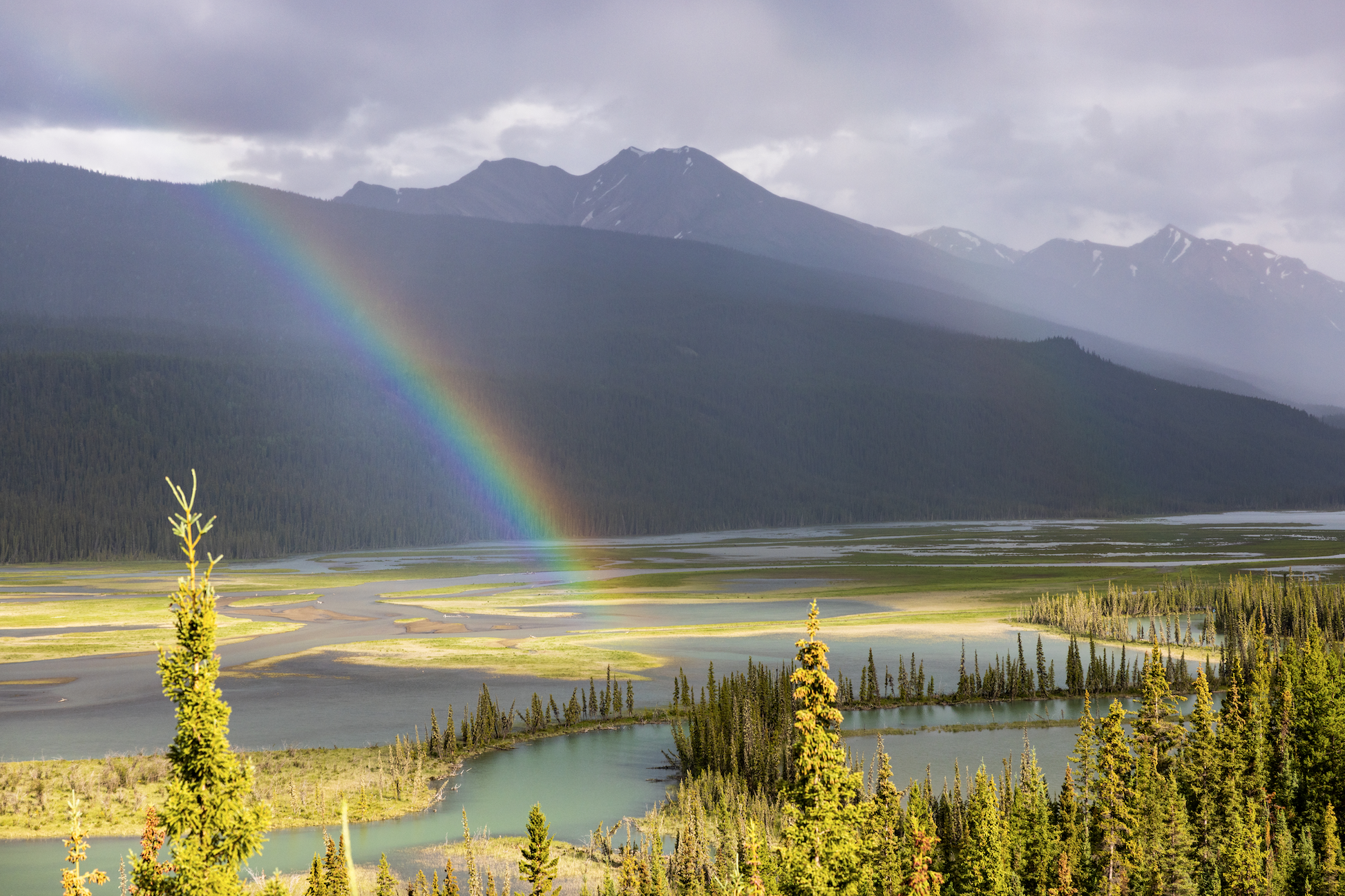 Indigenous Protected and Conserved Areas — Indigenous Leadership Initiative