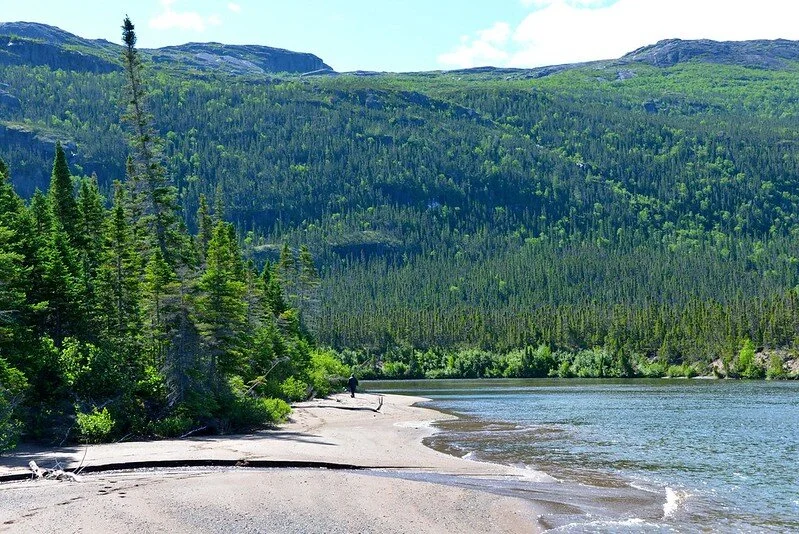 Guardians — Indigenous Leadership Initiative