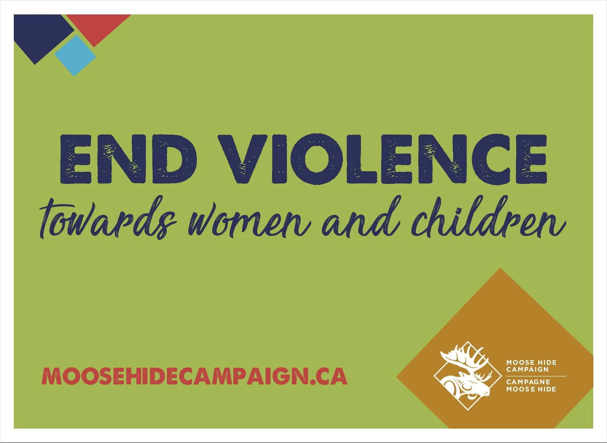 Indigenous Leadership Initiative