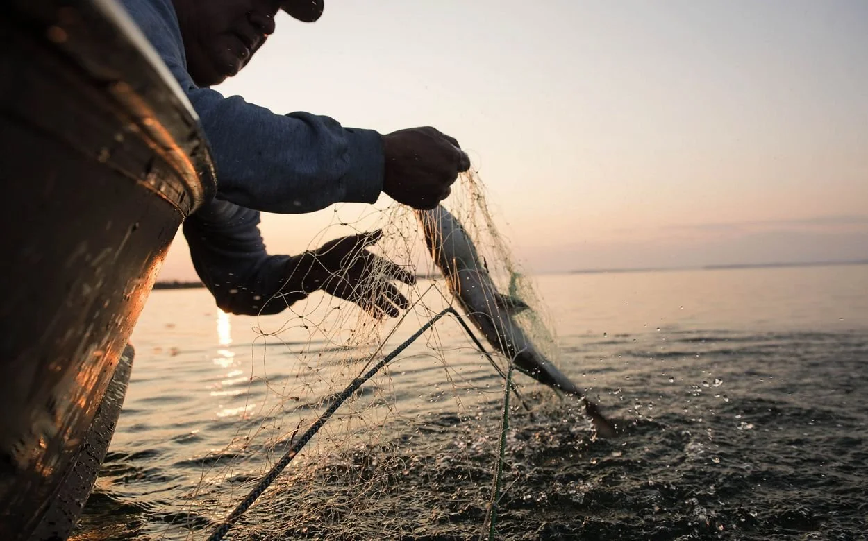 Indigenous Protected and Conserved Areas — Indigenous Leadership Initiative