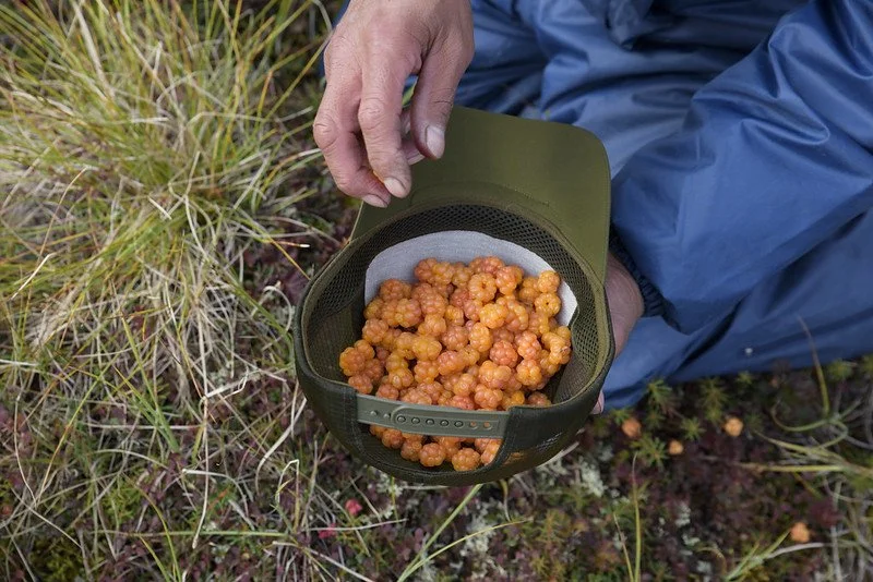 The First Nations Guardians Gathering 2023 — Indigenous Leadership ...