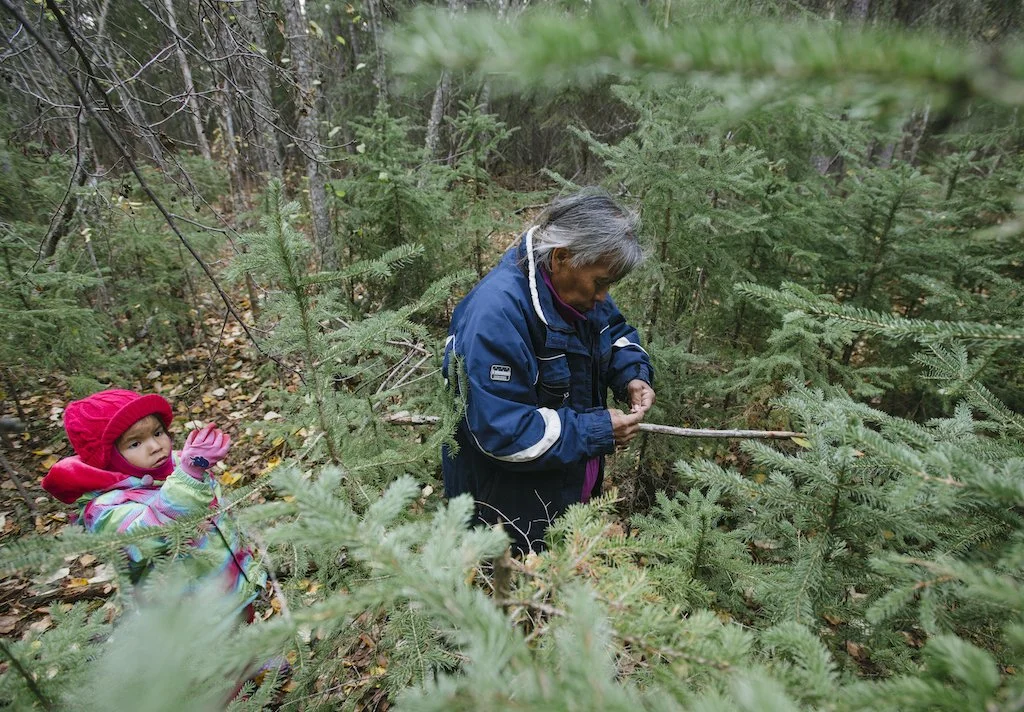 General 2 — Indigenous Leadership Initiative