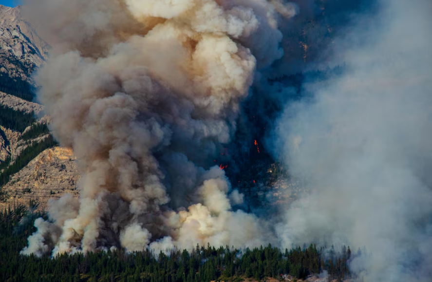 Fire Stewardship — Indigenous Leadership Initiative