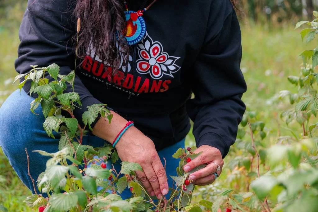 Fire Stewardship — Indigenous Leadership Initiative
