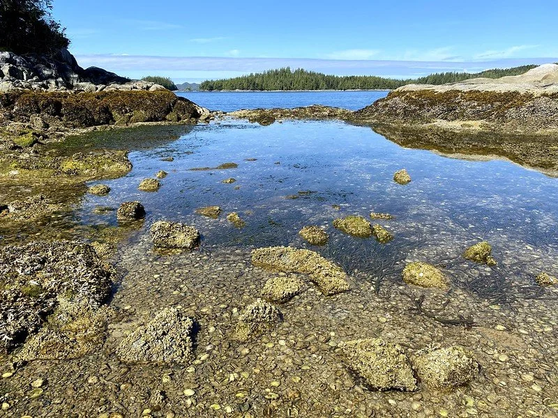 Water is Life-Guardians Honour the Sacred Responsibility to Care for ...