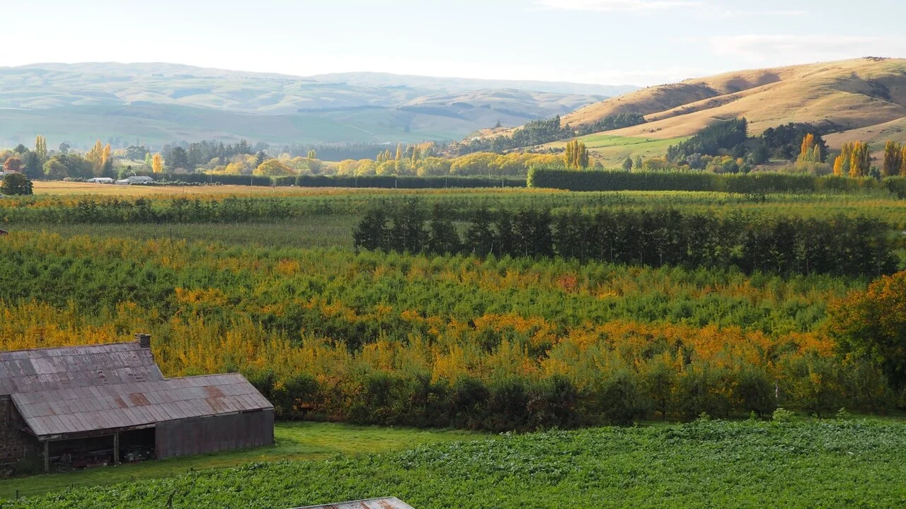 Visit Teviot Valley — Ormaglade Cabins