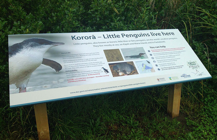 Kororā — Kapiti Coast Biodiversity Project