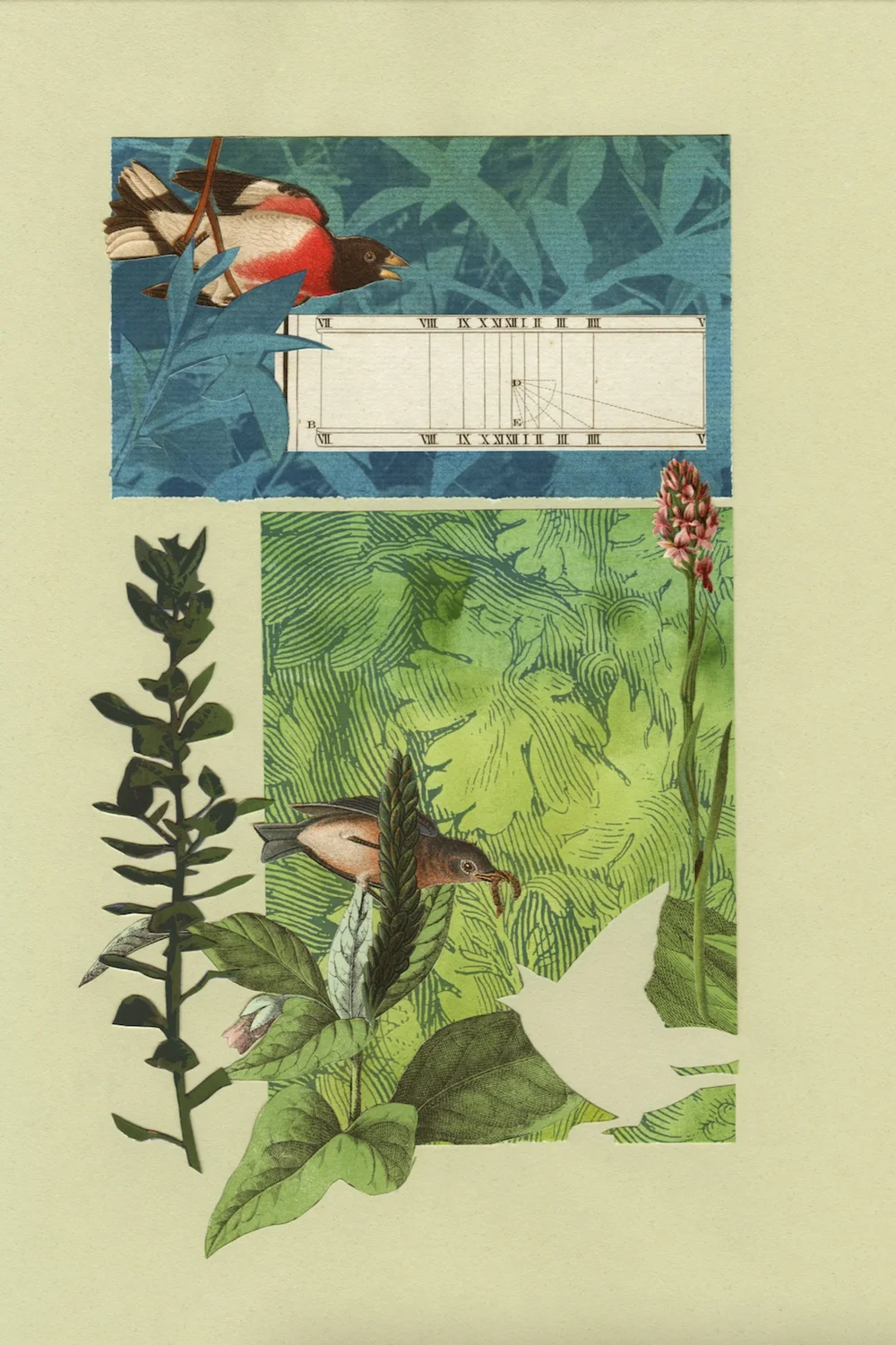 The Comfort of Crows Artwork — Spiegel & Grau