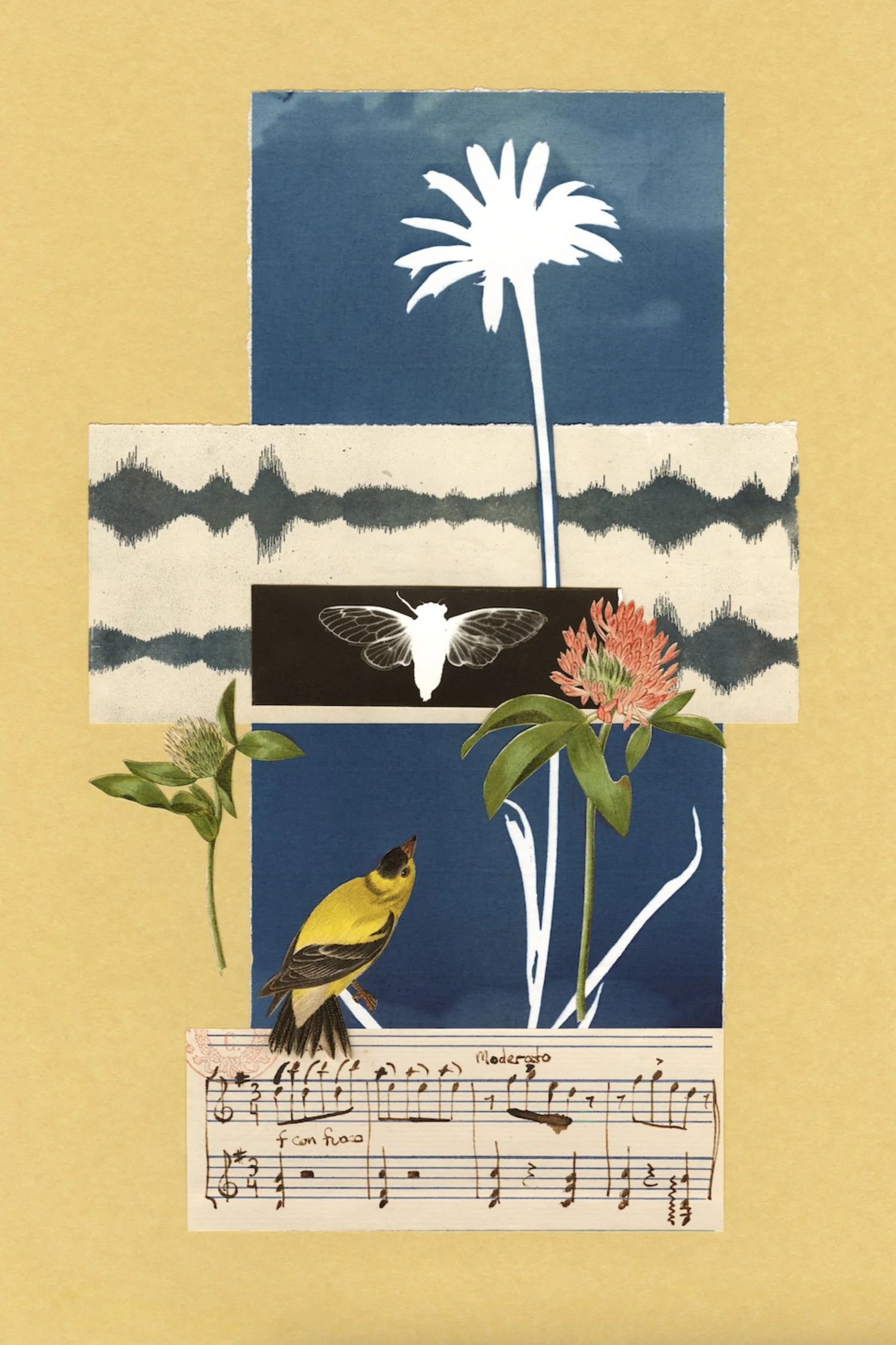 The Comfort of Crows Artwork — Spiegel & Grau