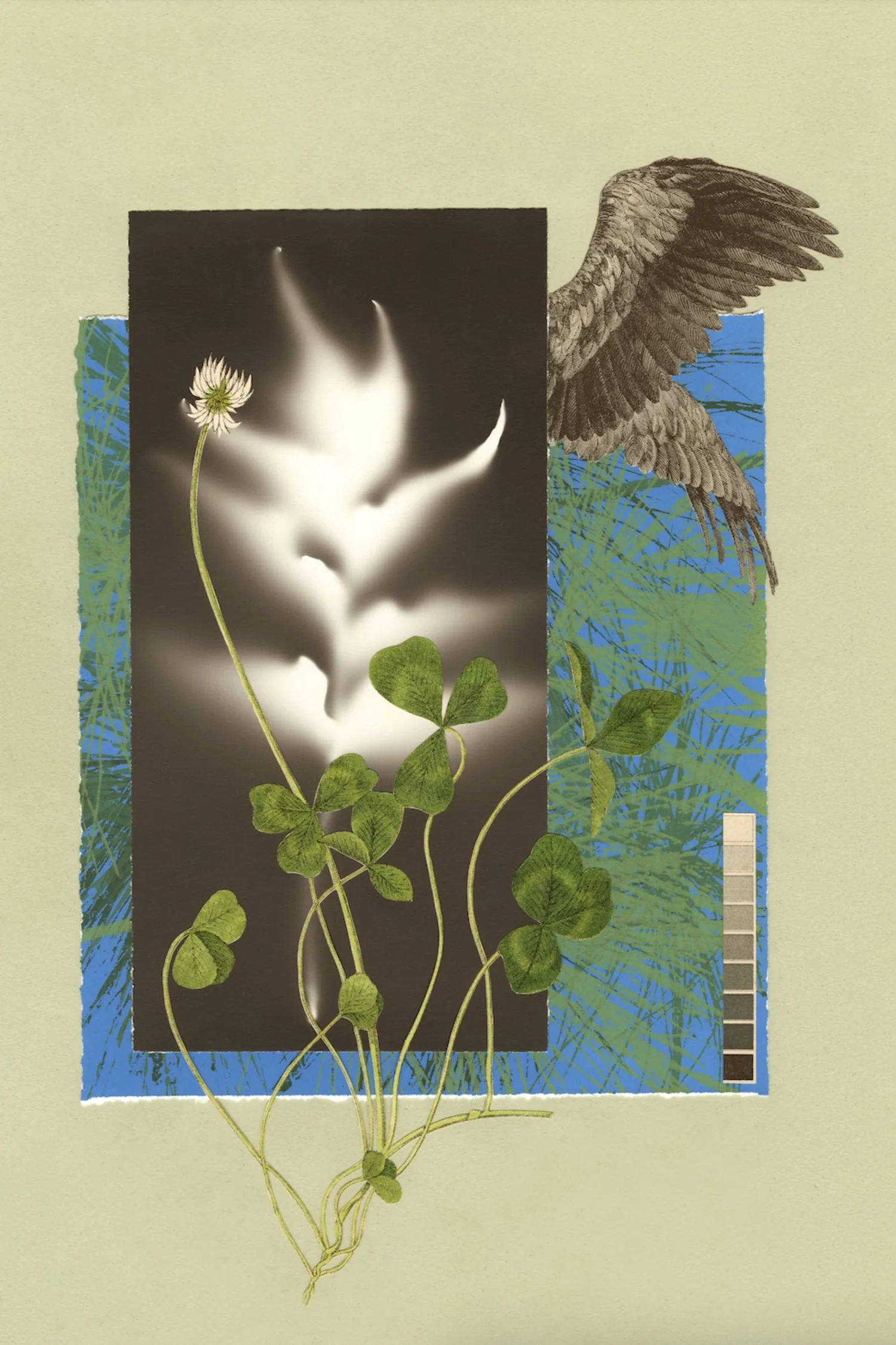 The Comfort of Crows Artwork — Spiegel & Grau