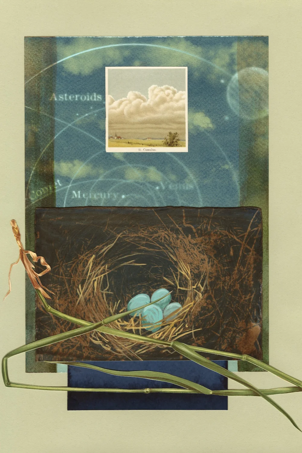 The Comfort of Crows Artwork — Spiegel & Grau