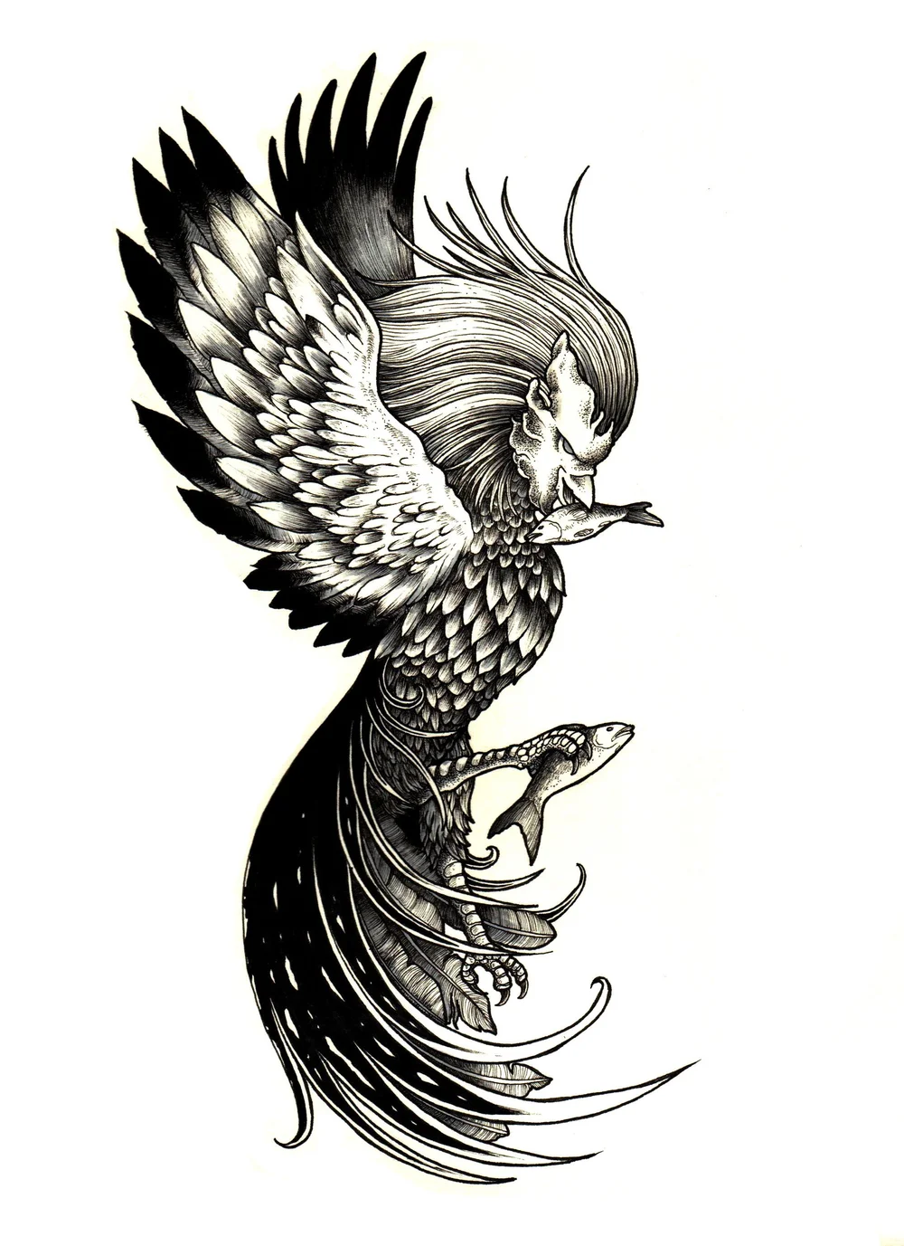 SARIMANOK-The reincarnation of a goddess — Southern Woodenboat Sailing