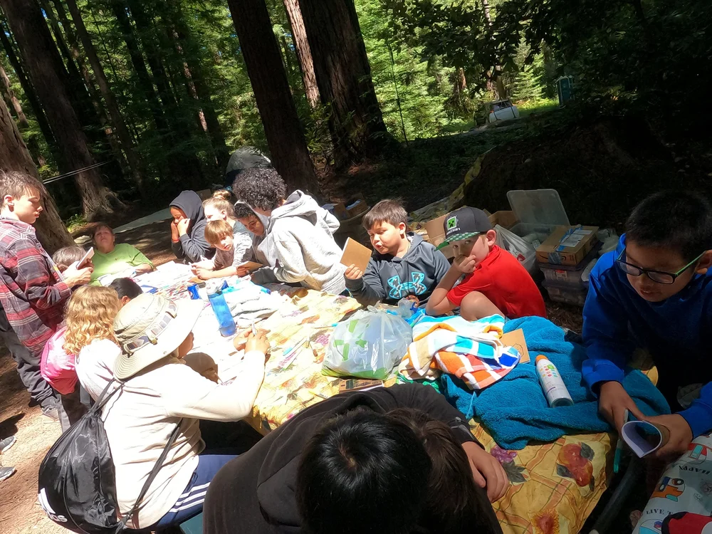 Summer Camps — Redwood Glen camp