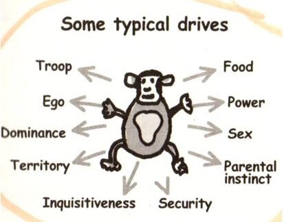 The Chimp Paradox: The Acclaimed Mind Management Programme to Help You ...