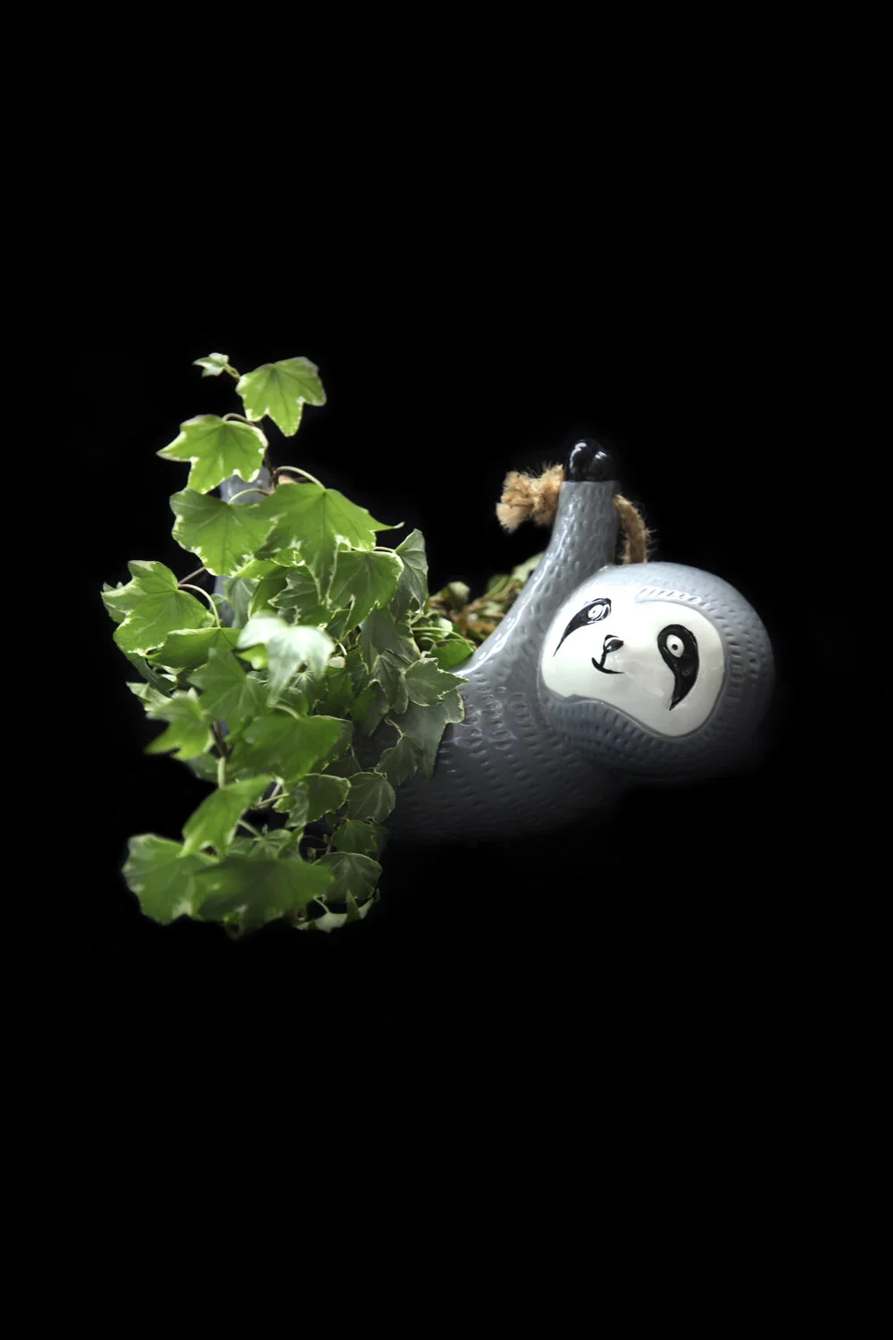 Terrarium — Flower Studio Gold Coast