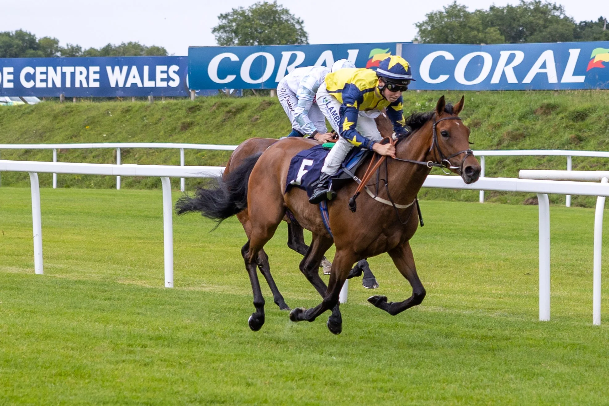 Horse Racing Syndicates — Surrey Racing horse racing syndicates