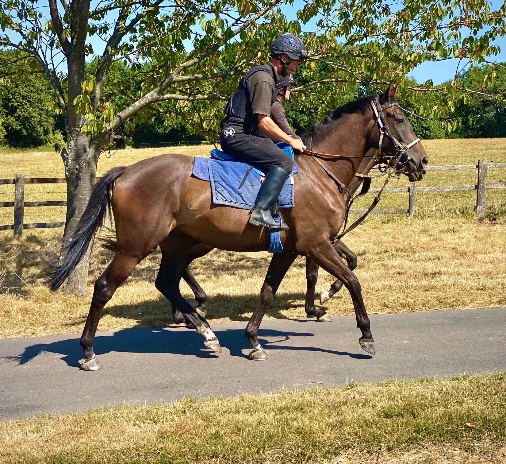 It’s Coming Home! — Surrey Racing