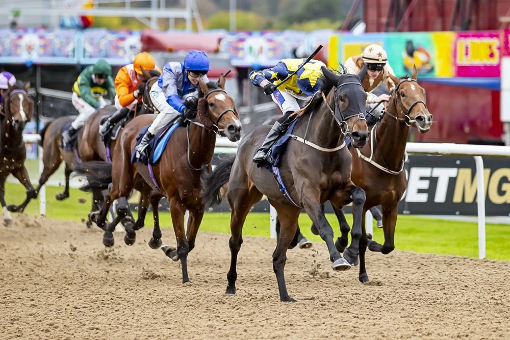 The Belle of Wolves — Surrey Racing