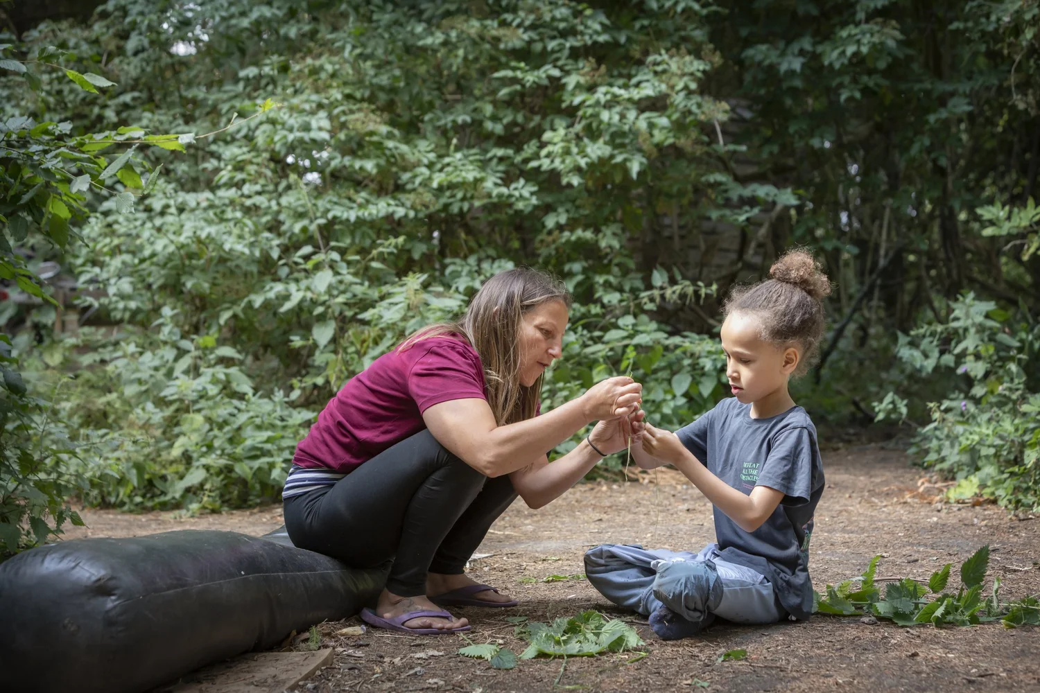 Discover Wildlings — W I L D L I N G S