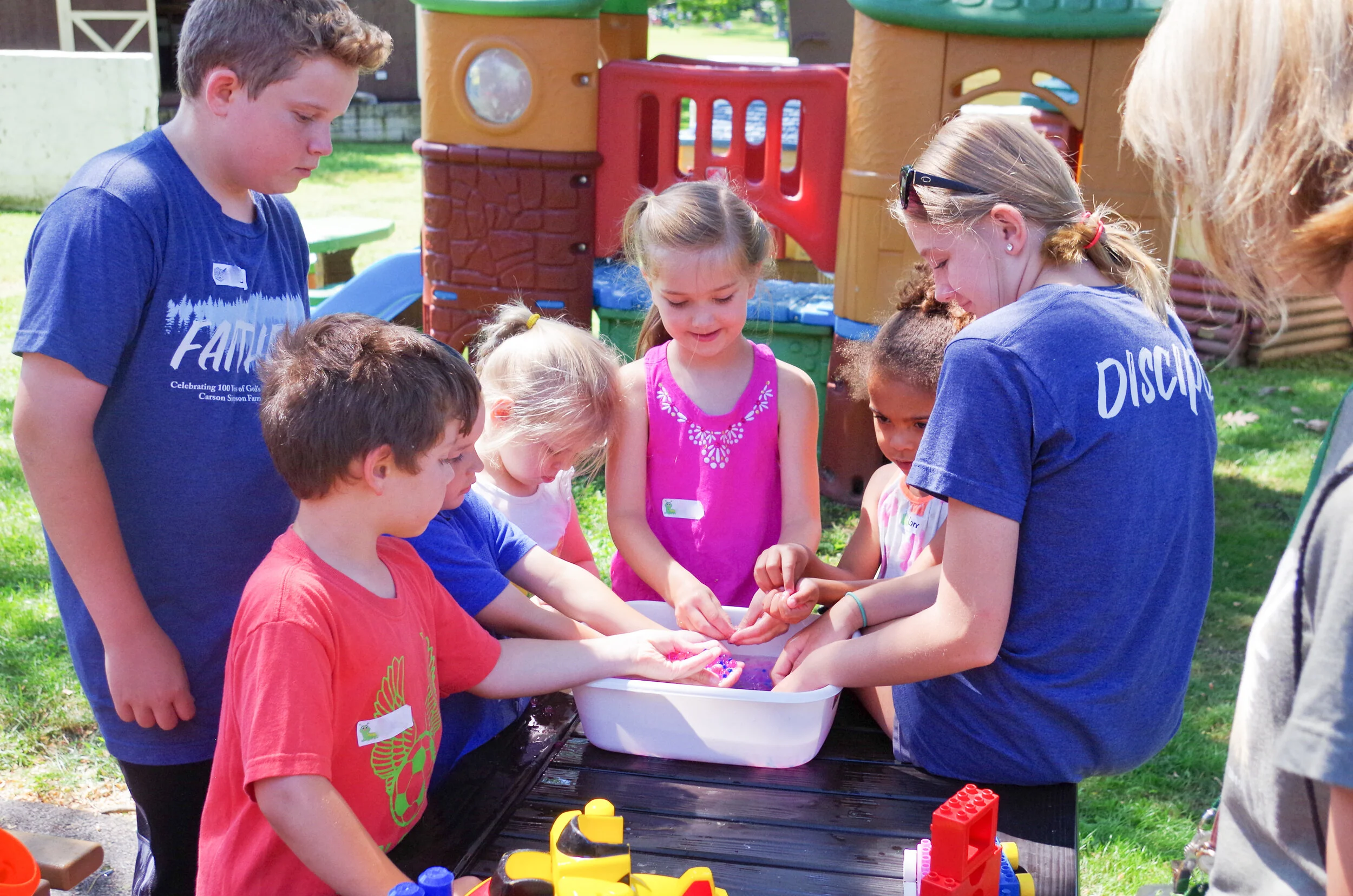 Frequently Asked Questions About Day Camp — Carson Simpson Farm ...
