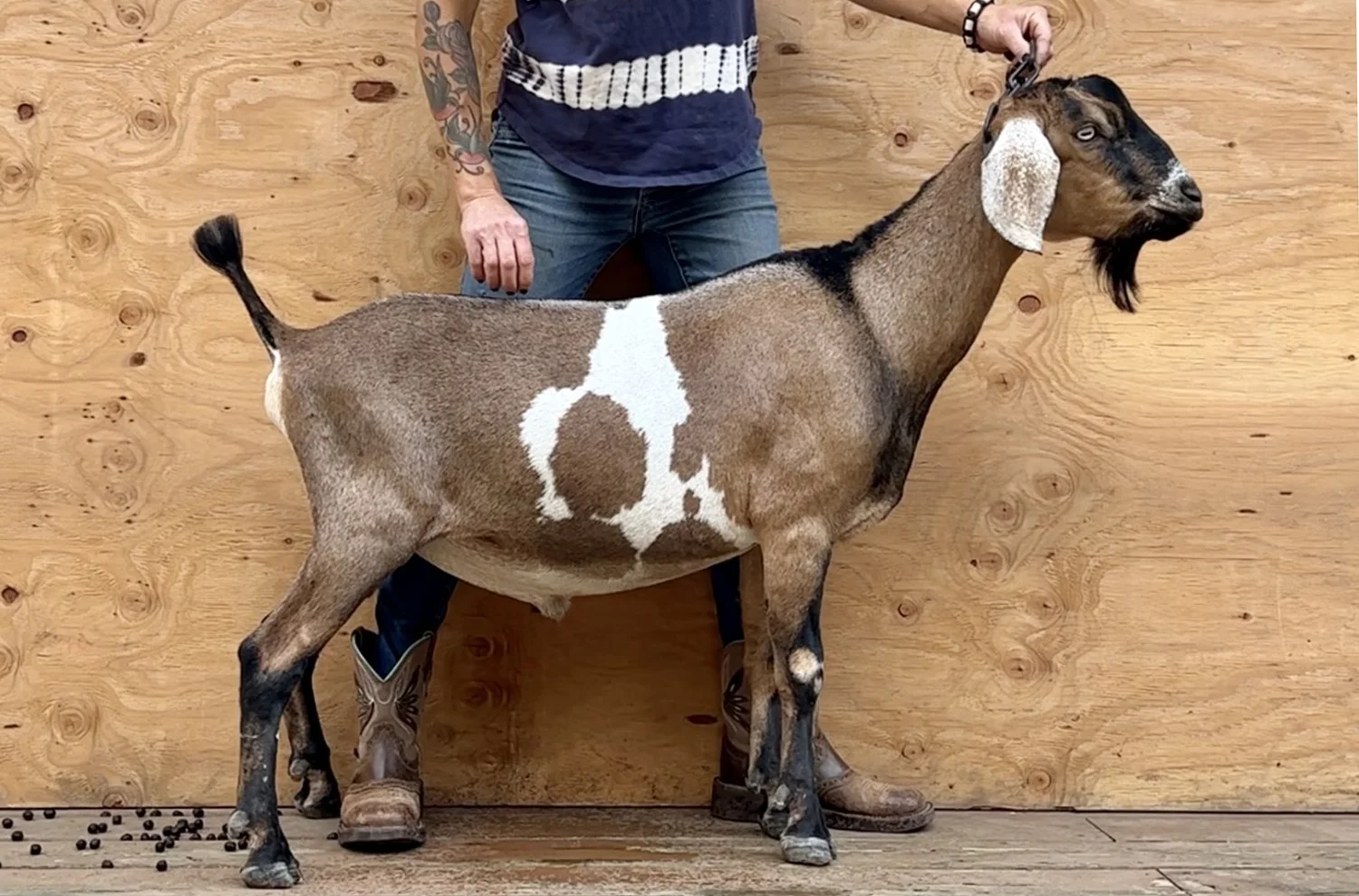 Frogtown Cedars Farm, LLC