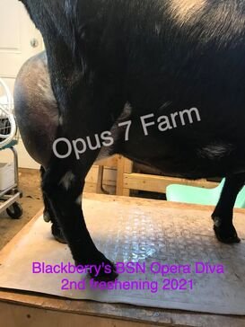 Reference Bucks — Frogtown Cedars Farm, LLC