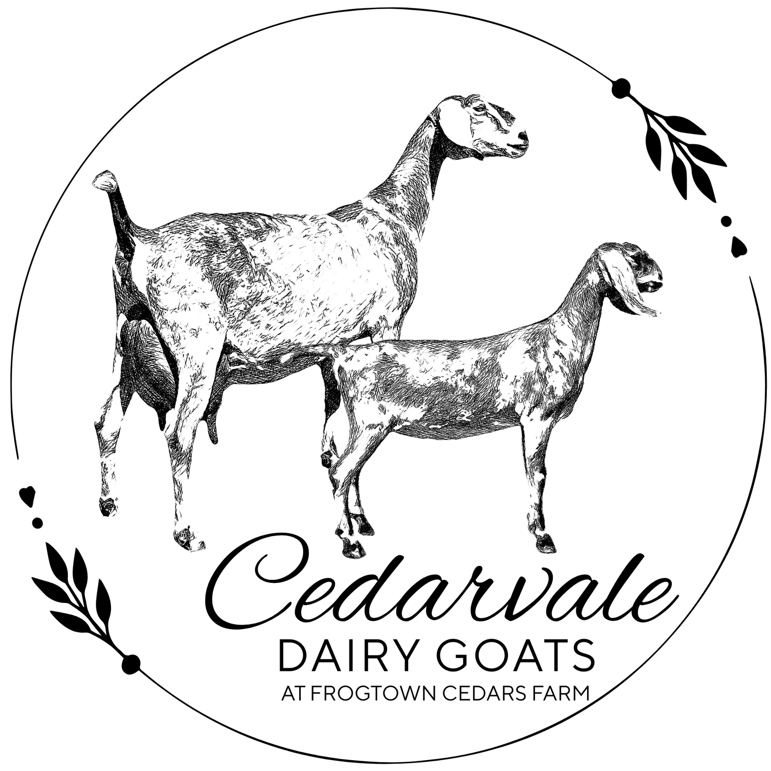 Frogtown Cedars Farm, LLC