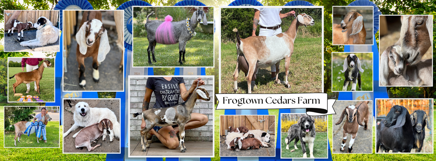 Frogtown Cedars Farm, LLC