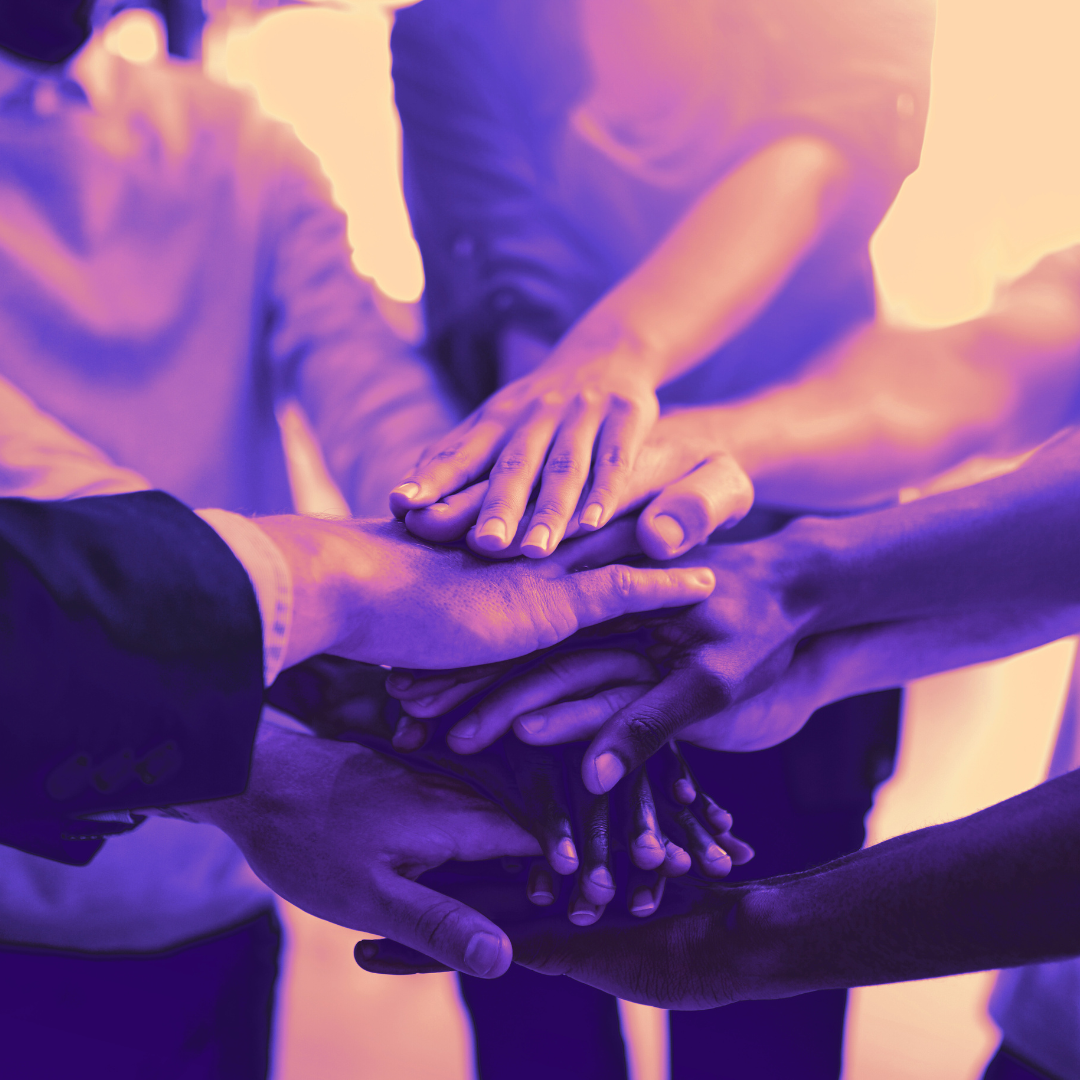 Digilogix SA — Digilogix