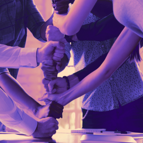 Digilogix SA — Digilogix