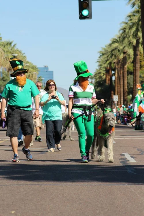 Services 2 — St. Patrick's Day Parade & Faire, Phoenix