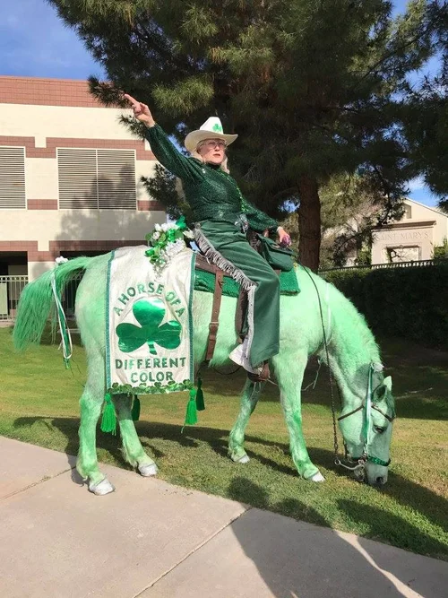 Services 2 — St. Patrick's Day Parade & Faire, Phoenix
