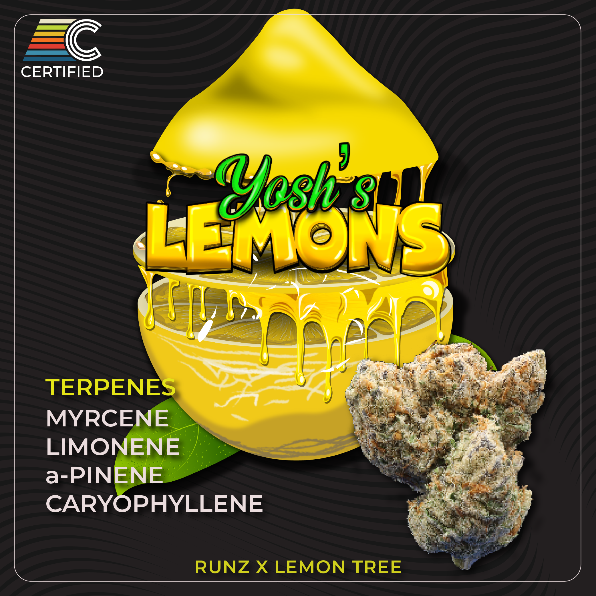 Kush Face | Heavy Gas Hybrid with High THC & Terpenes — Certified ...