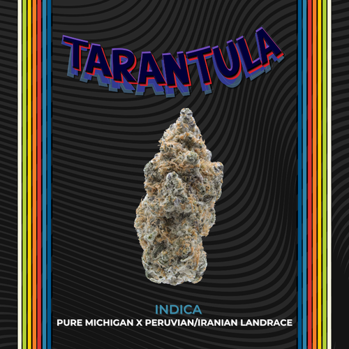 Explore Top Cannabis Flower Strains — Certified Cultivators