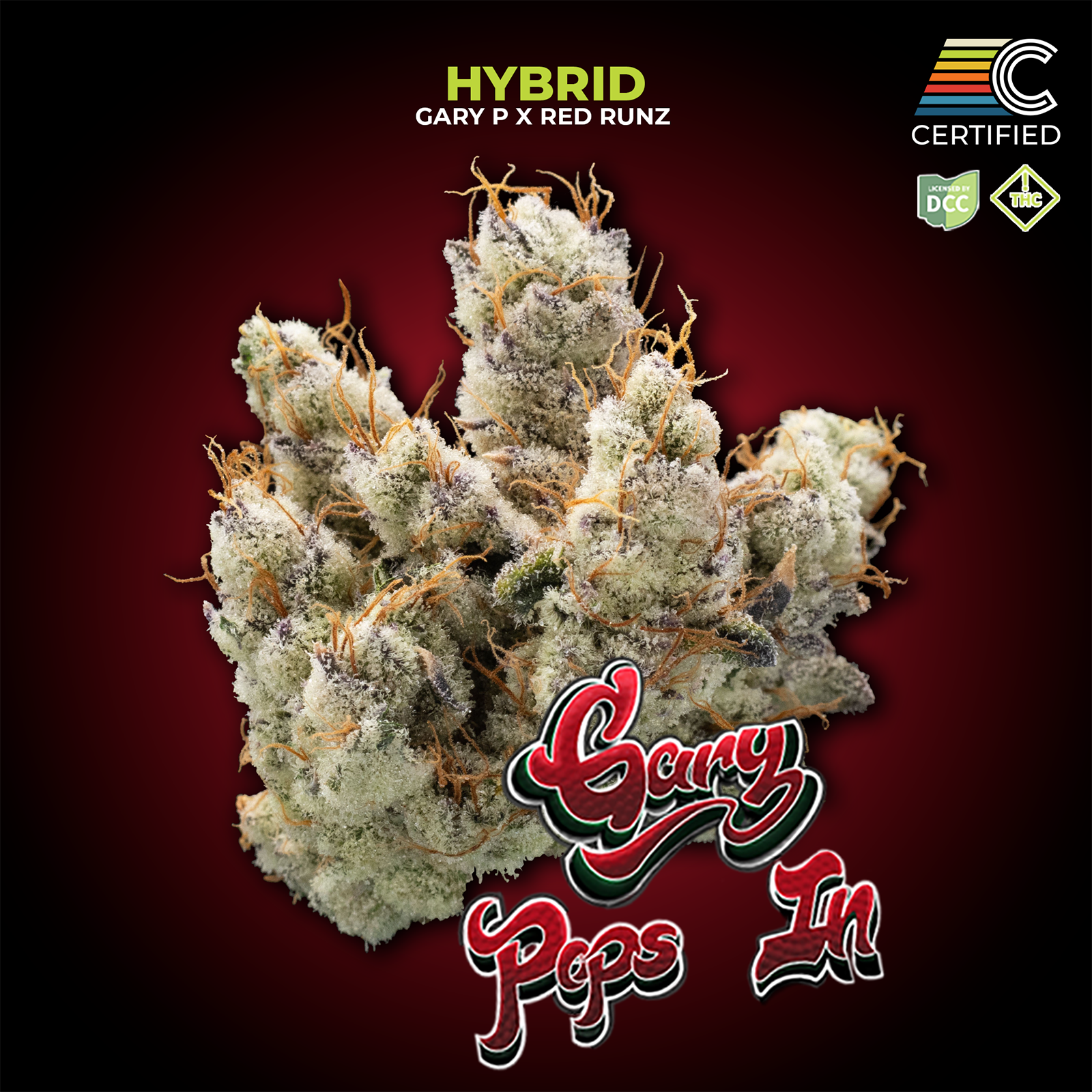 Miracle Mints — Certified Cultivators