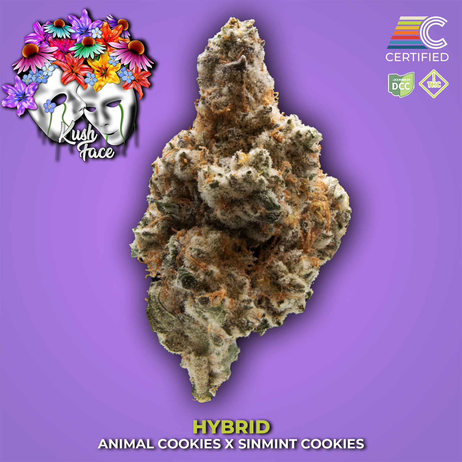 Miracle Mints — Certified Cultivators