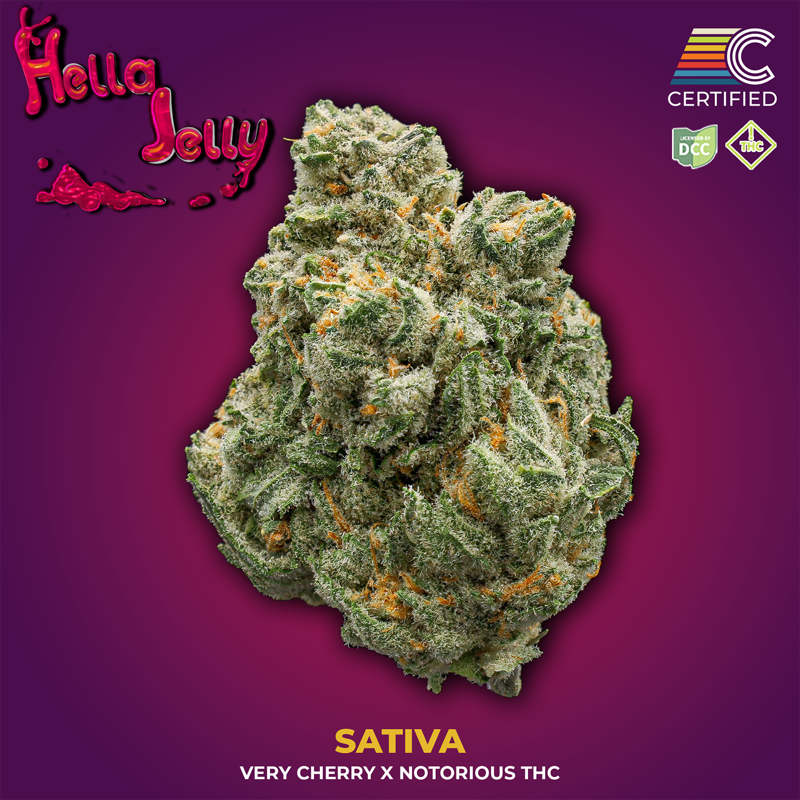 Explore Top Cannabis Flower Strains — Certified Cultivators