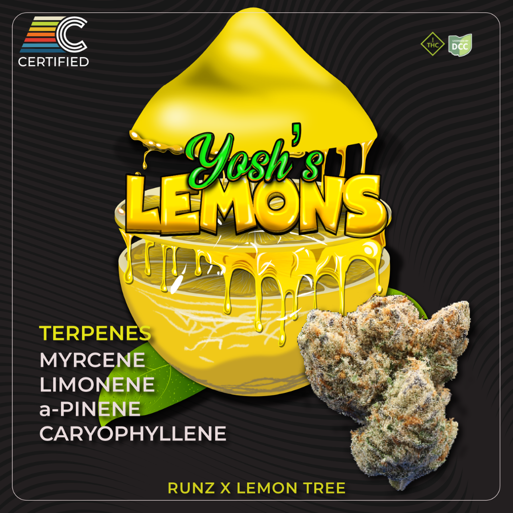 Miracle Mints — Certified Cultivators