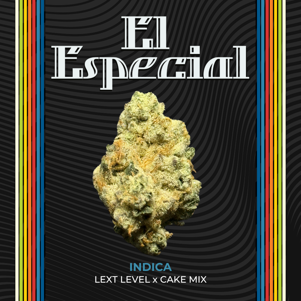 Miracle Mints — Certified Cultivators
