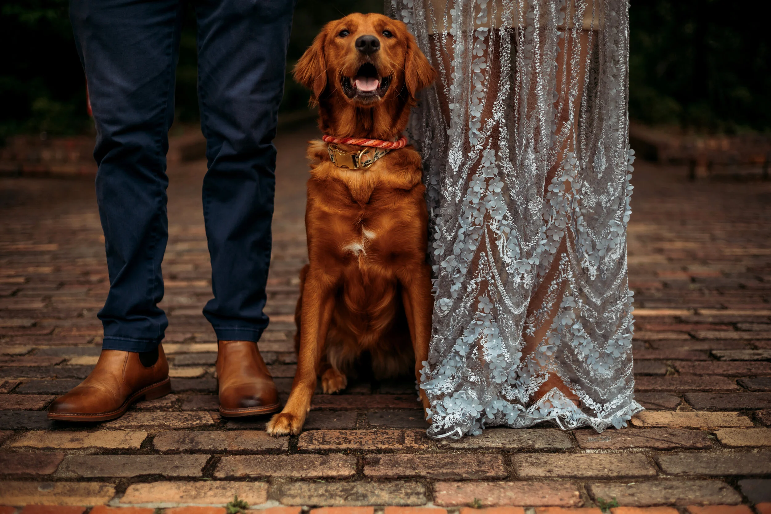 Gallery — Katey Johnson Photography