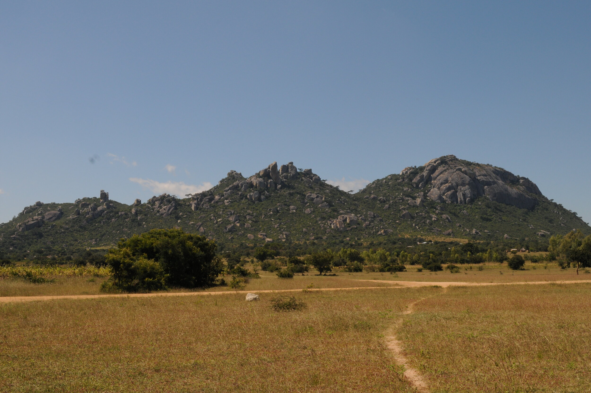 Gallery 2 — Zimbabwe Project Society