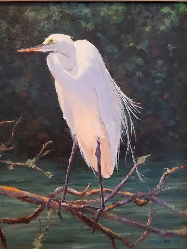 Artwork For Sale | Judy Maring Fine Art