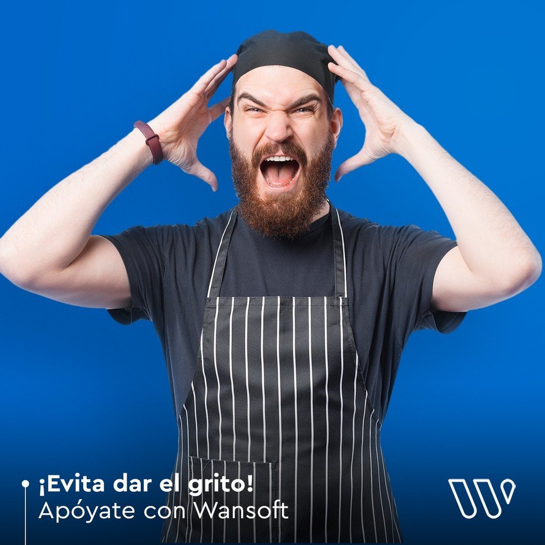 Sistema punto de venta wansoftpos